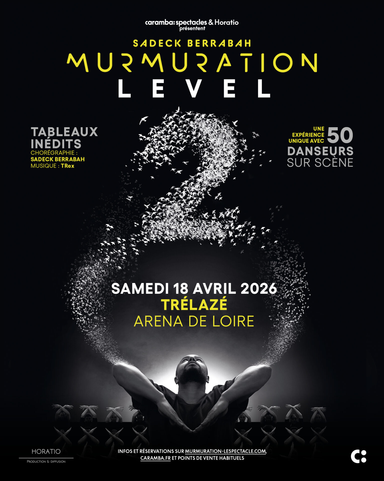 MURMURATION - LEVEL 2 - Arena Loire Trélazé